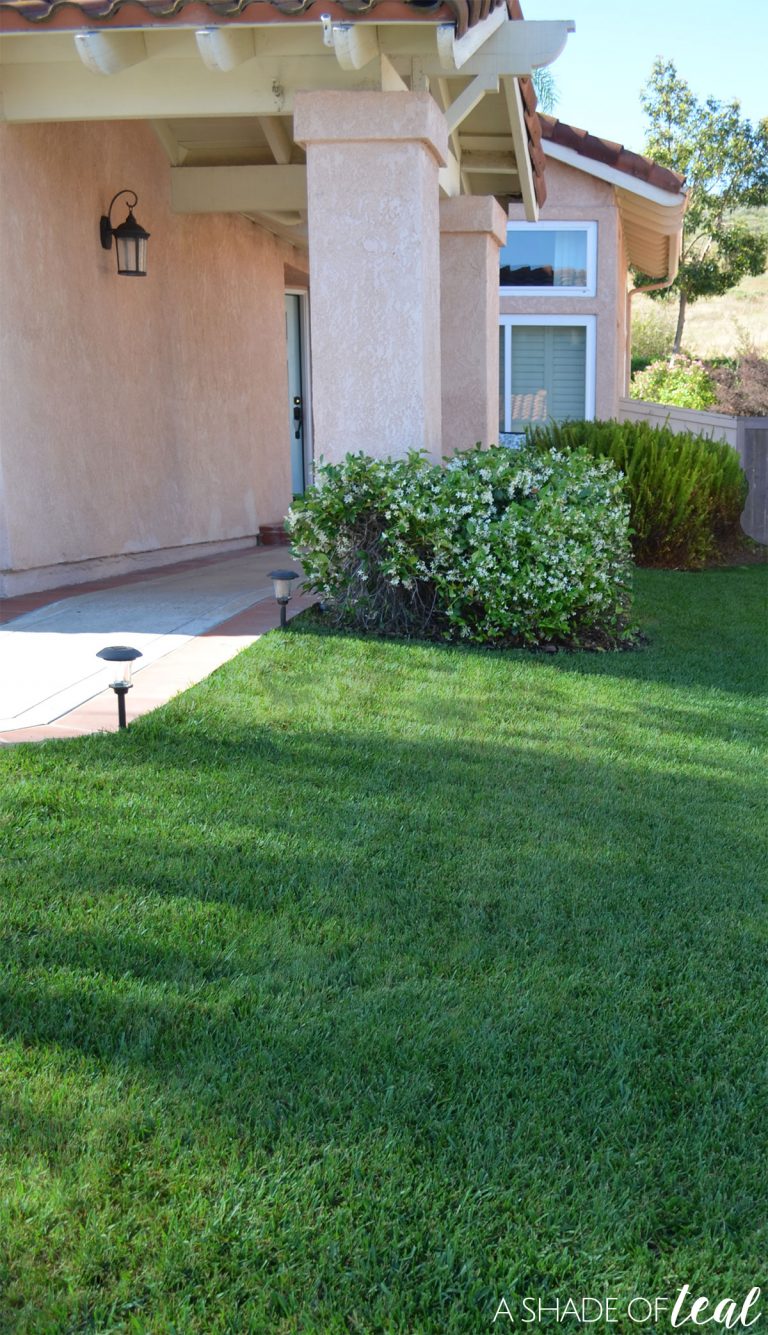 How to Maintain a Beautiful Lawn with TruGreen