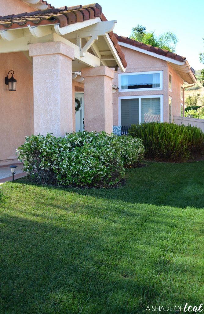 How to Maintain a Beautiful Lawn with TruGreen