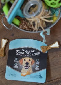 Celebrate your Dog with a Birthday Gift Basket!